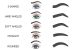 Different Types Of Eyebrows And How To Shape Them Perfectly