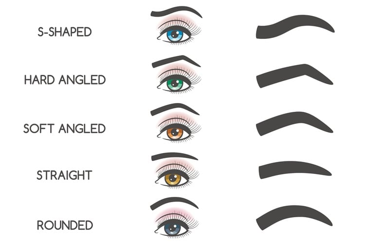 Eyebrow Threading Shapes Chart Eyebrow Threading Shapes Chart