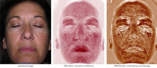 Deep Insight into Photo Aging