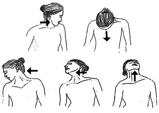 Get Rid Of That Stubborn Neck Fat Now!