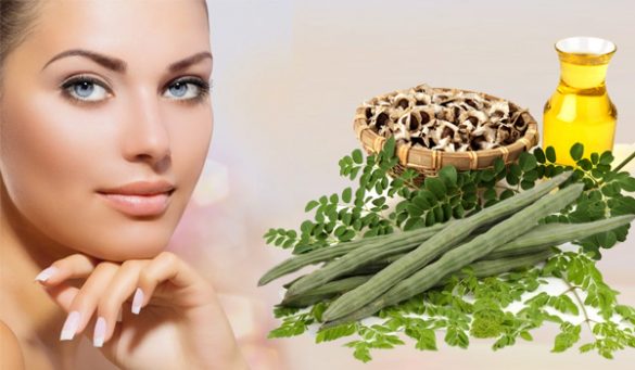 18 Moringa Oil Benefits For Health, Hair, Skin And Nails