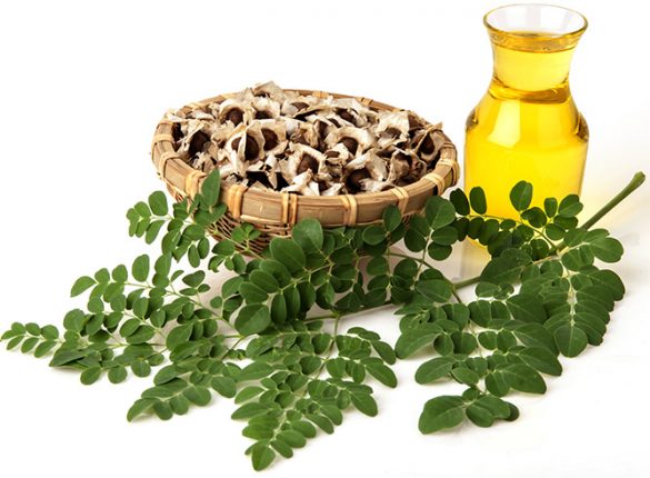 27 Amazing Benefits Of Malunggay (Drumstick) For Health, Hair And Its ...