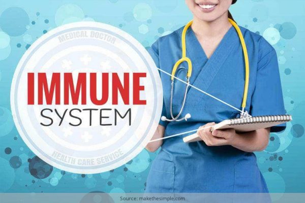 Let Us Learn About The Fascinating Immune System And How To Increase ...