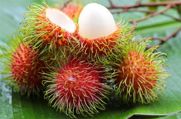 10 Health Benefits Of Rambutan