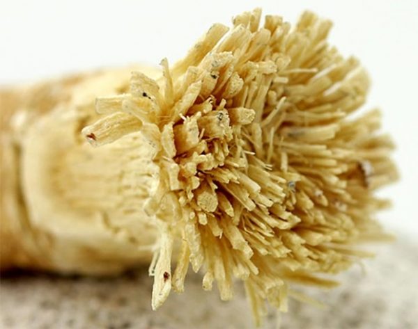 Abundant Benefits Of Miswak