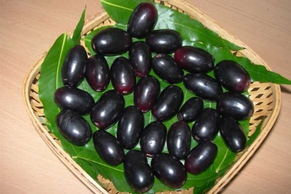 13 Health And Beauty Benefits Of Jamun That Will Astonish!