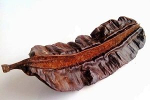 18 Health Benefits of Prekese To Keep You Feeling Your Best